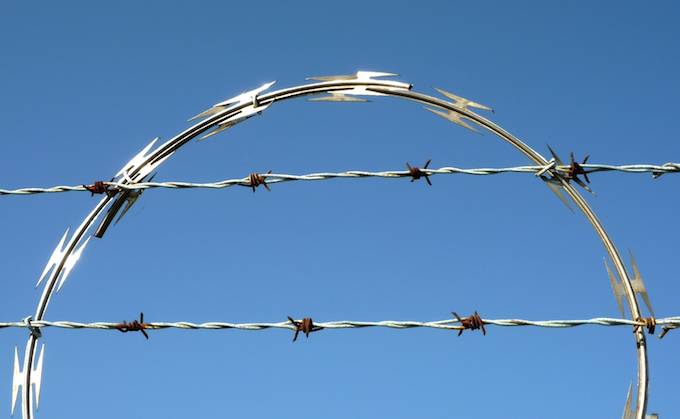 Give Wildlife a Break: The Devil’s Rope